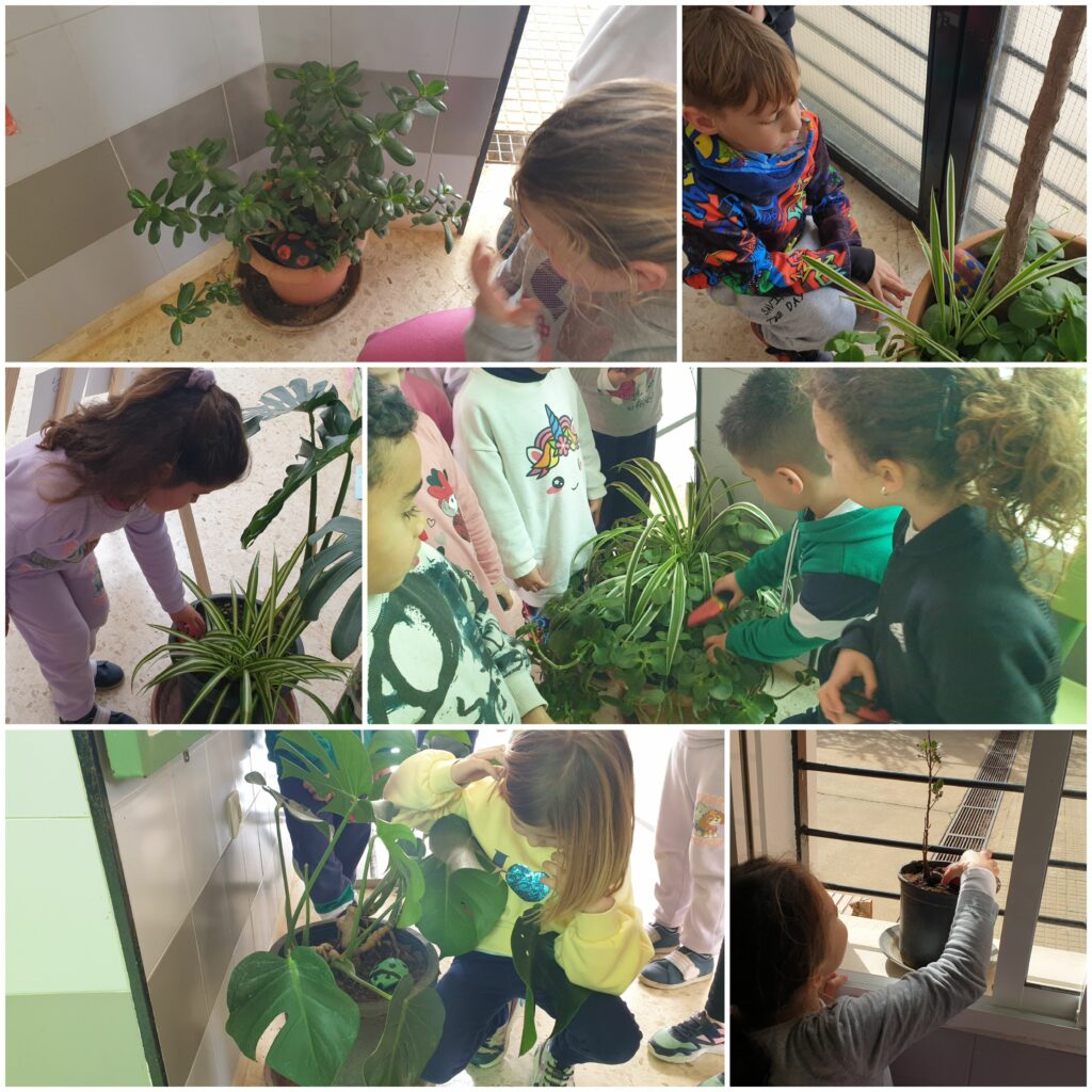 Bichitos - CEIP. LA RÁBIDA