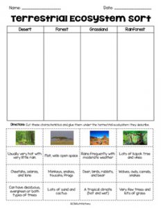 ECOSYSTEMS 5TH GRADE!