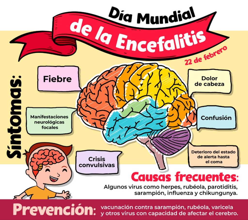 DÍA MUNDIAL DE LA ENCEFALITIS, 22 DE FEBRERO 2021 - CEIP Tetuán (Linares)