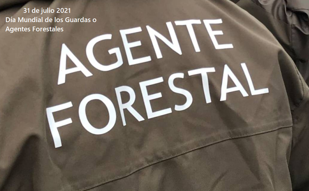 DÍA MUNDIAL DE LOS GUARDAS FORESTALES, 31 DE JULIO 2021 | CEIP Tetuán ...