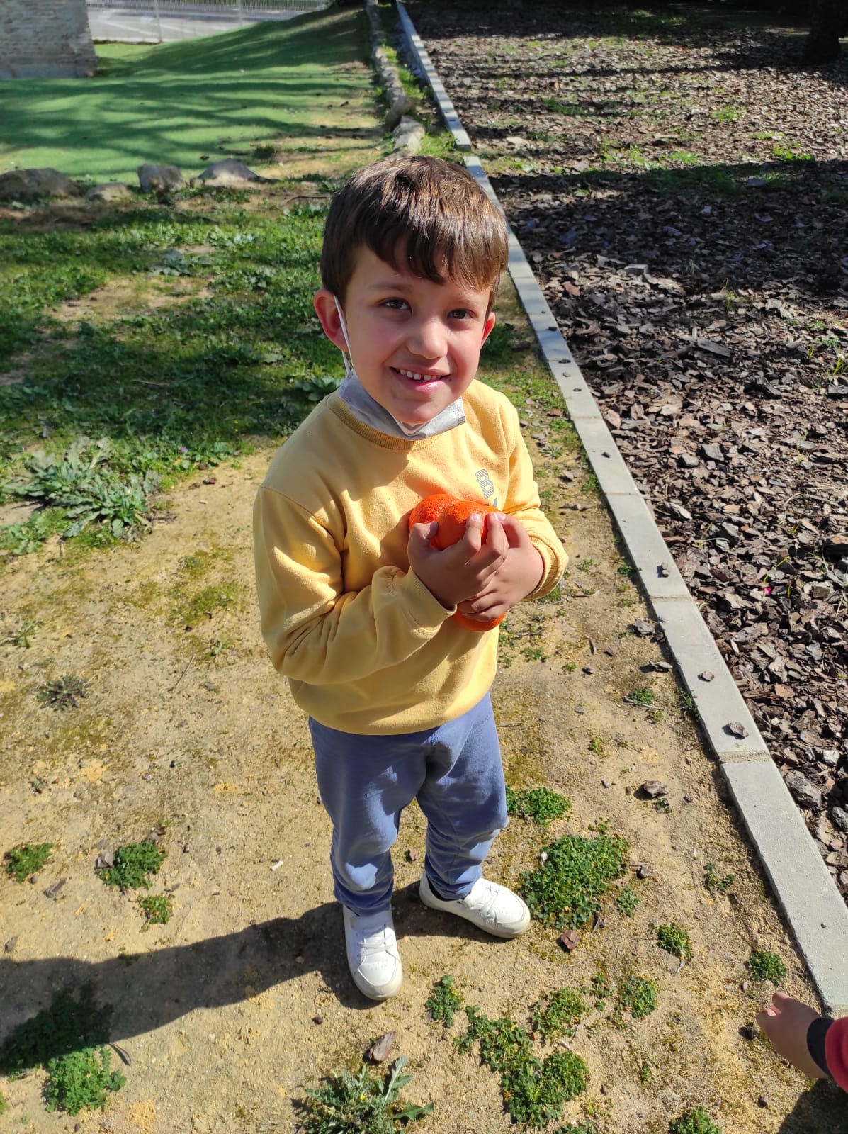 IMG-20220209-WA0004 | CEIP VICENTE ALEIXANDRE IMG-20220209-WA0004 | CEIP VICENTE ALEIXANDRE