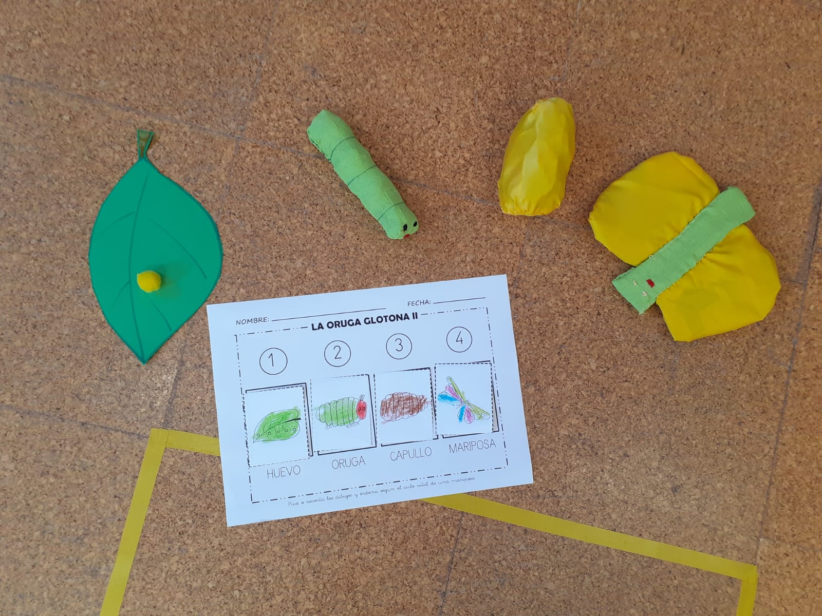 El maravilloso mundo de la oruga y la mariposa - CEIP VIRGEN DEL MAR