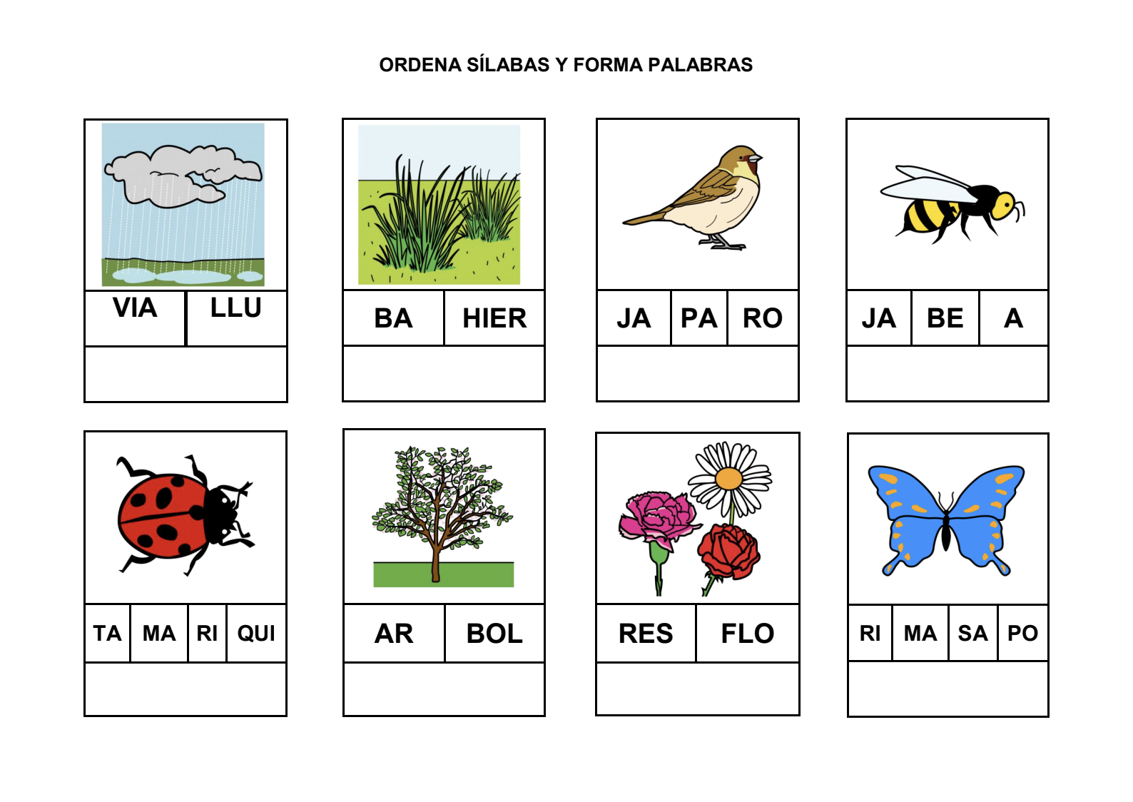 Las estaciones – Primavera - PLC El Olivo